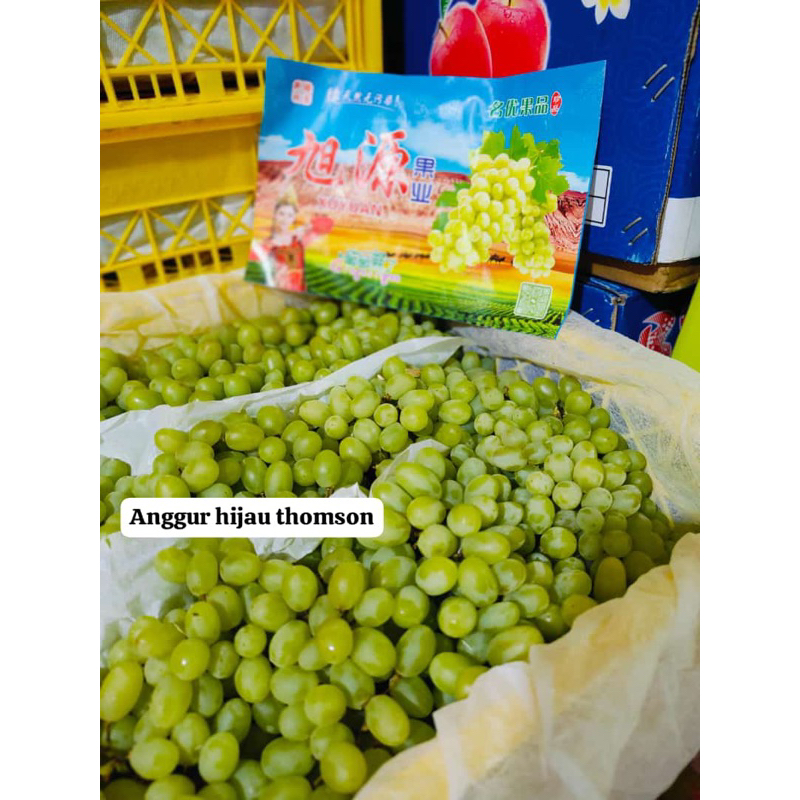 Jual ANGGUR HIJAU THOMSON 1kg | Shopee Indonesia