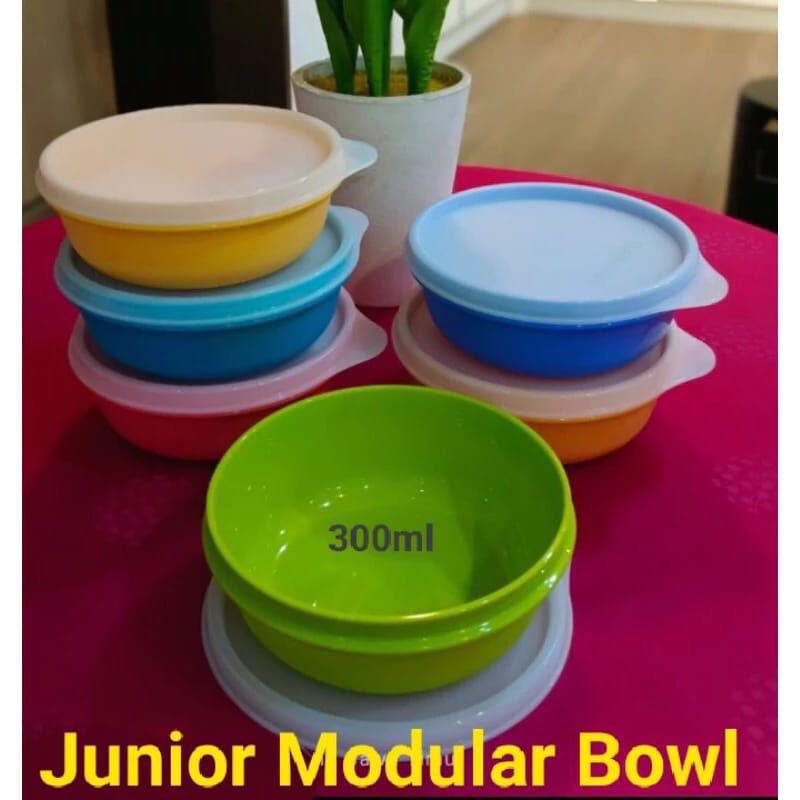 Jual Junior modular bowl (1) | Shopee Indonesia