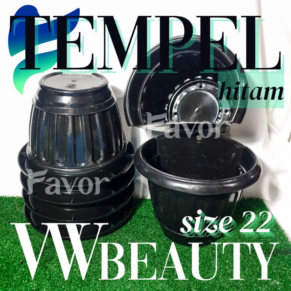Jual Pot Tempel Dinding VW Beauty 22 GBL HITAM Tanaman Hias | Shopee ...