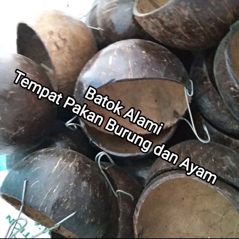 Jual Batok Kelapa Alami Tempat Pakan Burung dan Ayam dijamin Alami ...