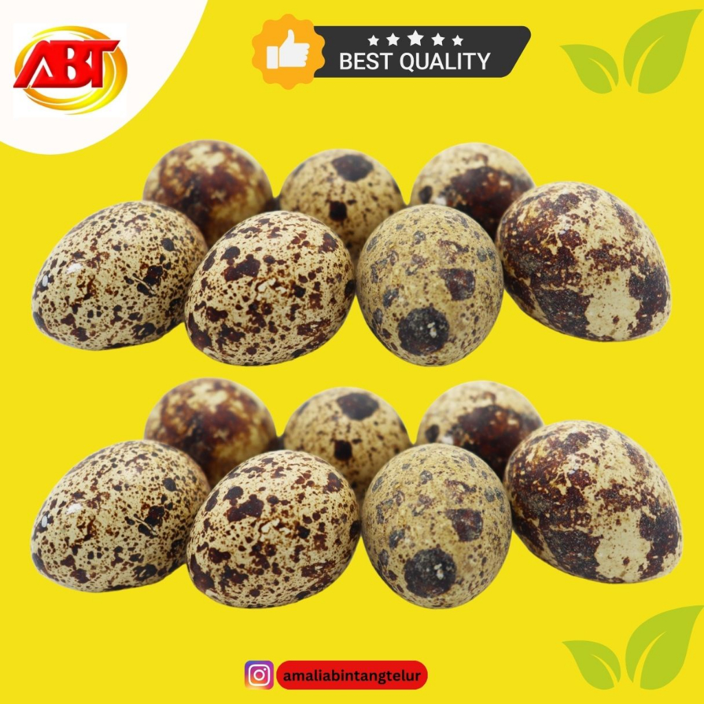 Jual ABT - Telur Puyuh isi 10 Butir Fresh Lezat dan Bergizi (FRESH-AMAN ...