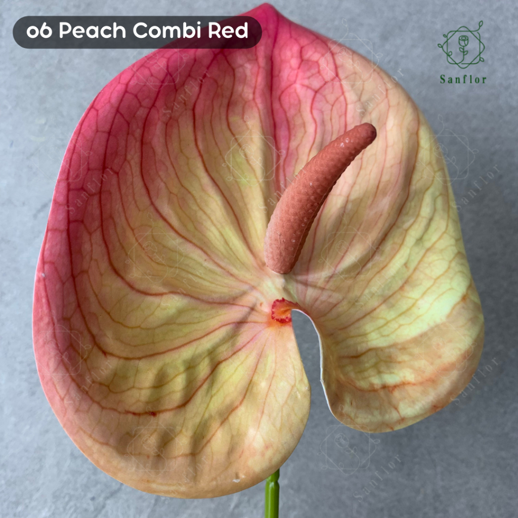 Jual Bunga Anthurium Artificial / Kuping gajah Buatan palsu Hiasan ...