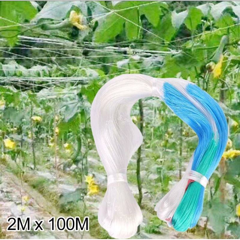 Jual Jaring Rambatan Tanaman 100mx2m jaring pertanian | Shopee Indonesia