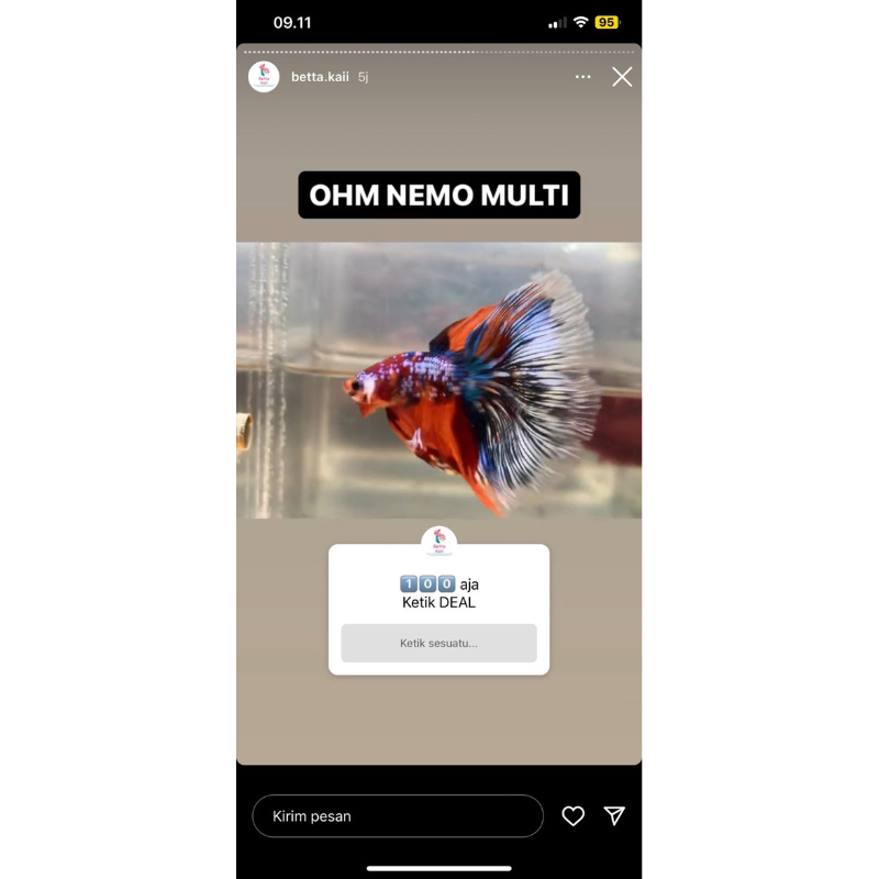 Jual mainan OHM Nemo Multi (M) | Shopee Indonesia