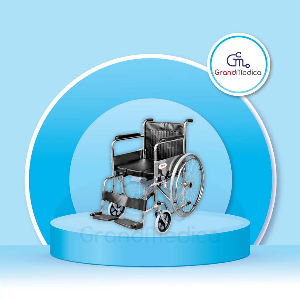 Jual Kursi Roda 2 In 1 + Commode Chair Gea FS 609 / kursi roda ...