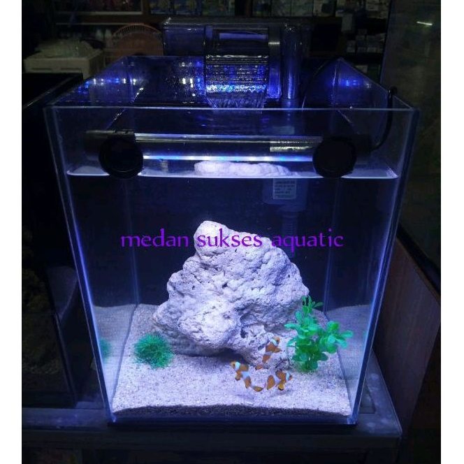 Jual Starter Pack Aquarium Air Laut / Aquascape Air Laut / Aquarium ...