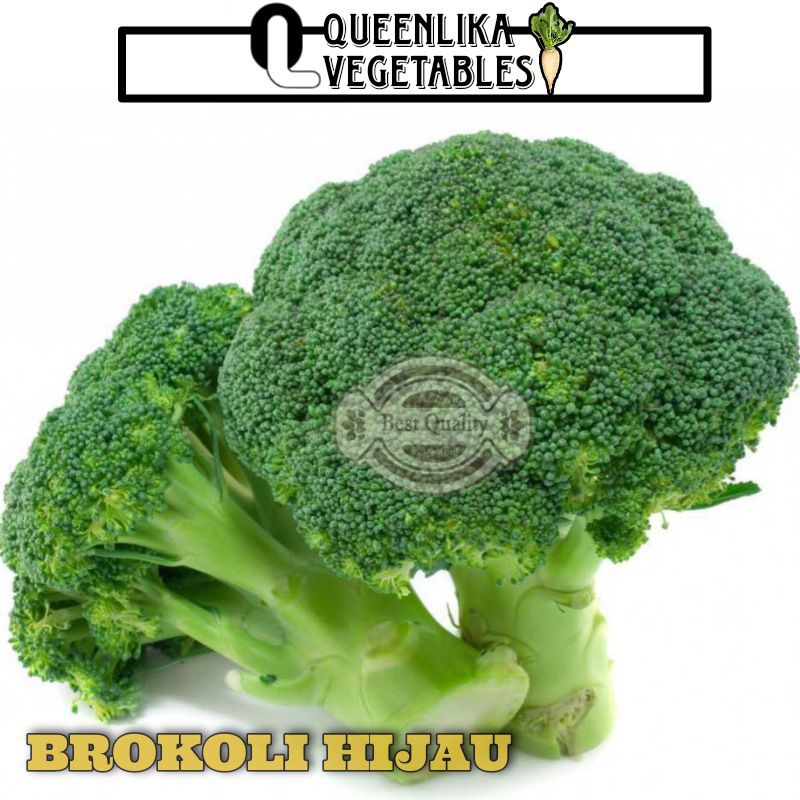 Jual brokoli kembang kol brokoli hijau 500g | Shopee Indonesia