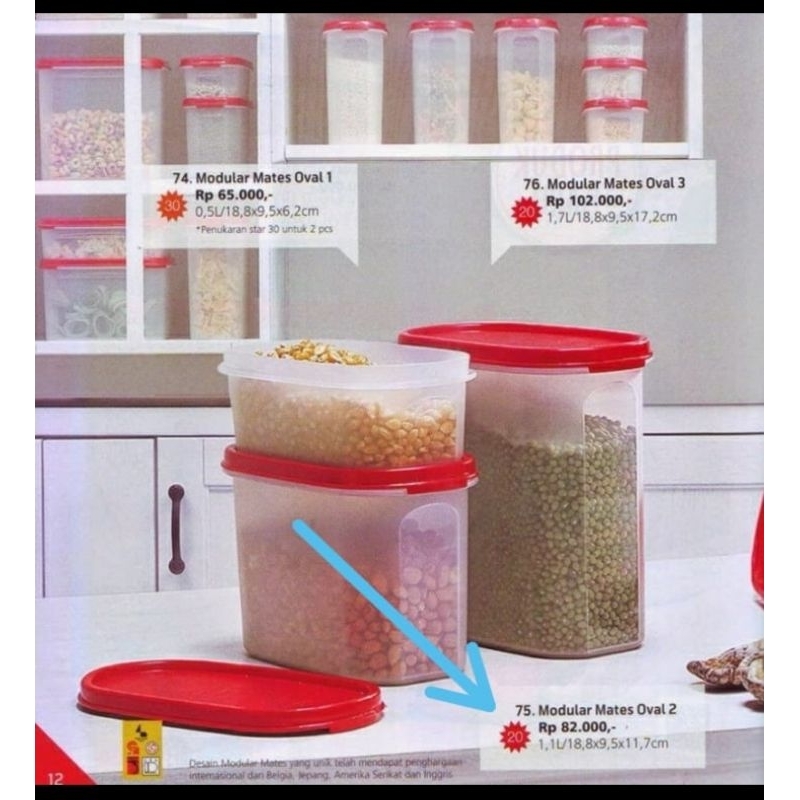 Jual Modular mate Tupperware ukuran 500 Mili | Shopee Indonesia