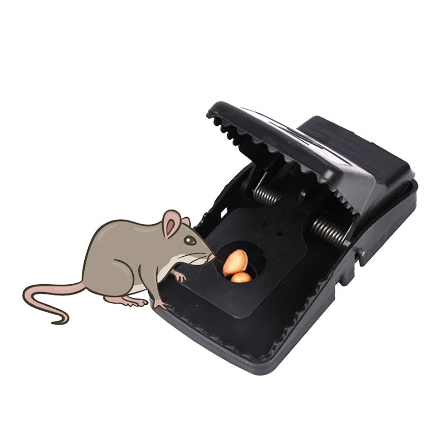 Jual JEBAKAN PERANGKAP TIKUS BLACK MOUSE SENSITIVE TRAP / MOUSE TRAPPER ...
