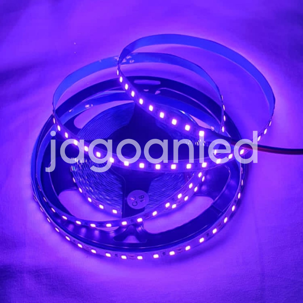 Jual Lampu LED Strip 2835 120 LED 120 Mata Lampu IP33 12V | Shopee ...