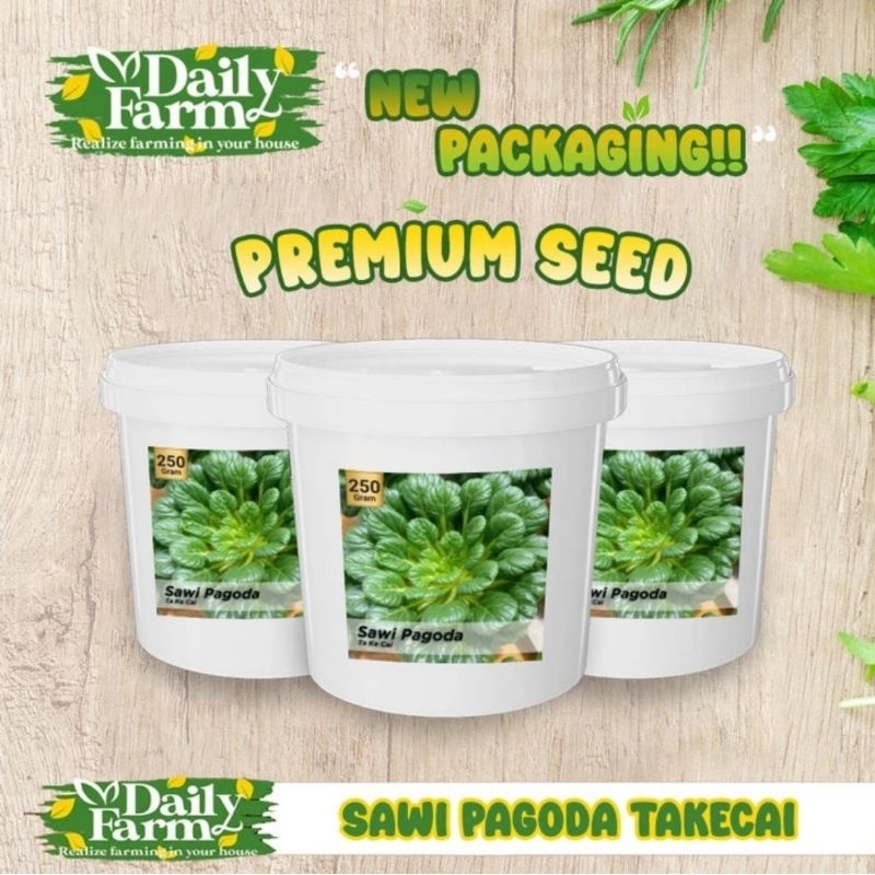 Jual Benih Sayur Pagoda Takecai - Bibit Sawi Pagoda Ta Ke Cai ( 250 ...
