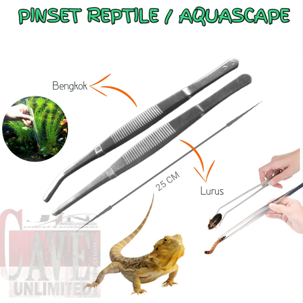 Jual PINSET BENGKOK LURUS CAPITAN PENJEPIT TIKUS JANGKRIK ULAT KECOA ...