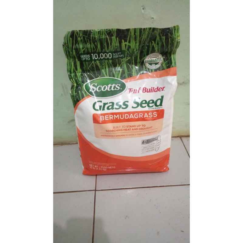 Jual Benih rumput Bermuda Grass seed 4,5 kg | Shopee Indonesia