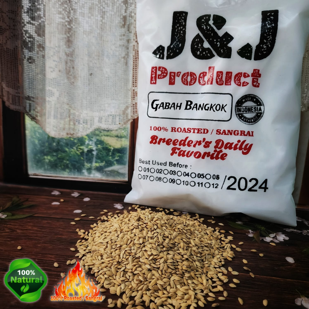Jual GABAH BANGKOK MINI 1KG GABAH PAKAN BURUNG | Shopee Indonesia
