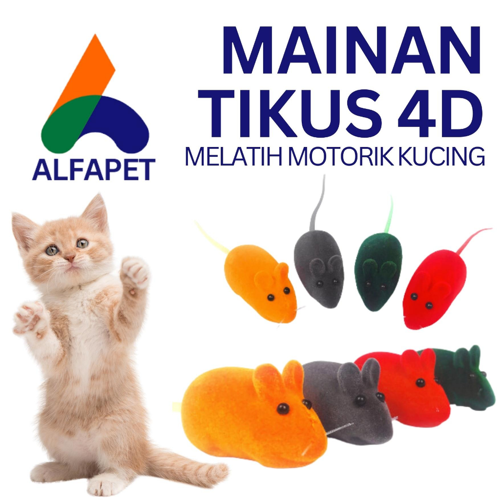 Jual Mainan tikus cit cit 4d mainan kucing | Shopee Indonesia
