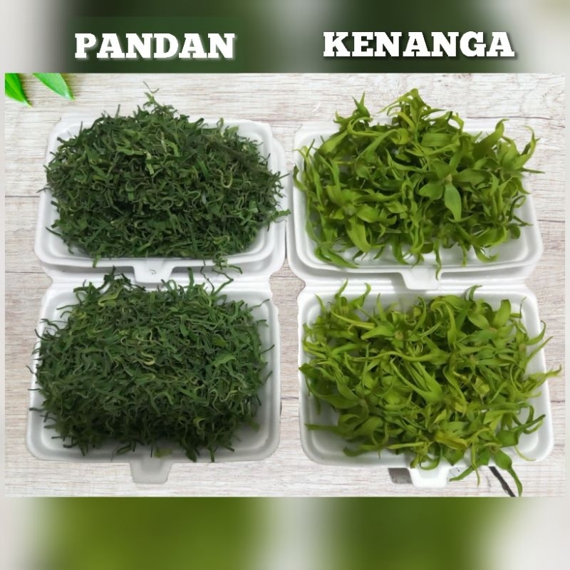 Jual Bunga Kenanga Daun Pandan iris / kembang tabur makam / ziarah ...