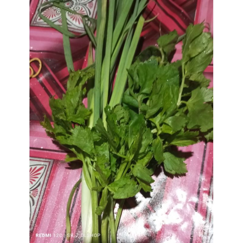 Jual Daun Sop+ daun Prei/1x pakai 100gr | Shopee Indonesia