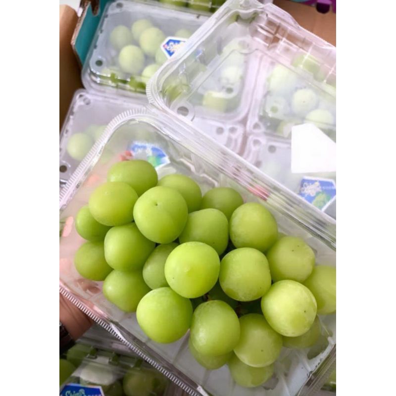 Jual Anggur Shine Muscat 500 gram /pack | Shopee Indonesia