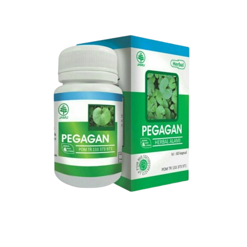 Jual Kapsul Pegagan 60 Kapsul | Extract Pegagan | BPOM | ( Nutrisi Otak ...