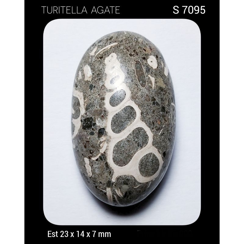 Jual 7095 Batu Turitella Agate | Shopee Indonesia