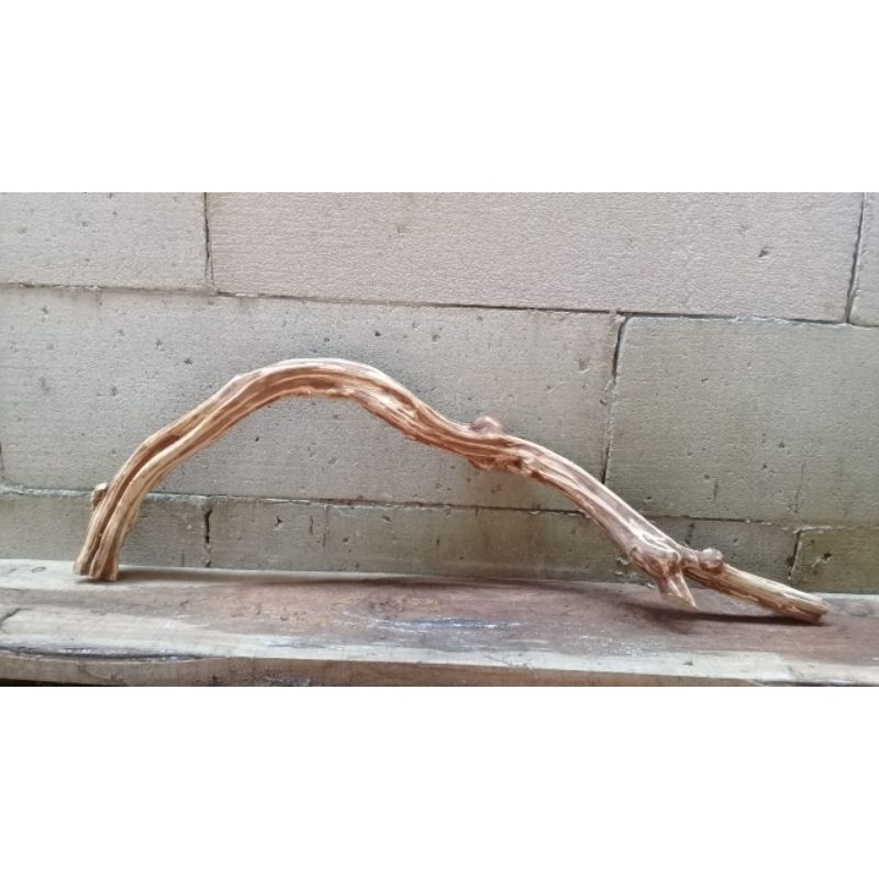 Jual akar kayu hutan berkarakter/unik | Shopee Indonesia