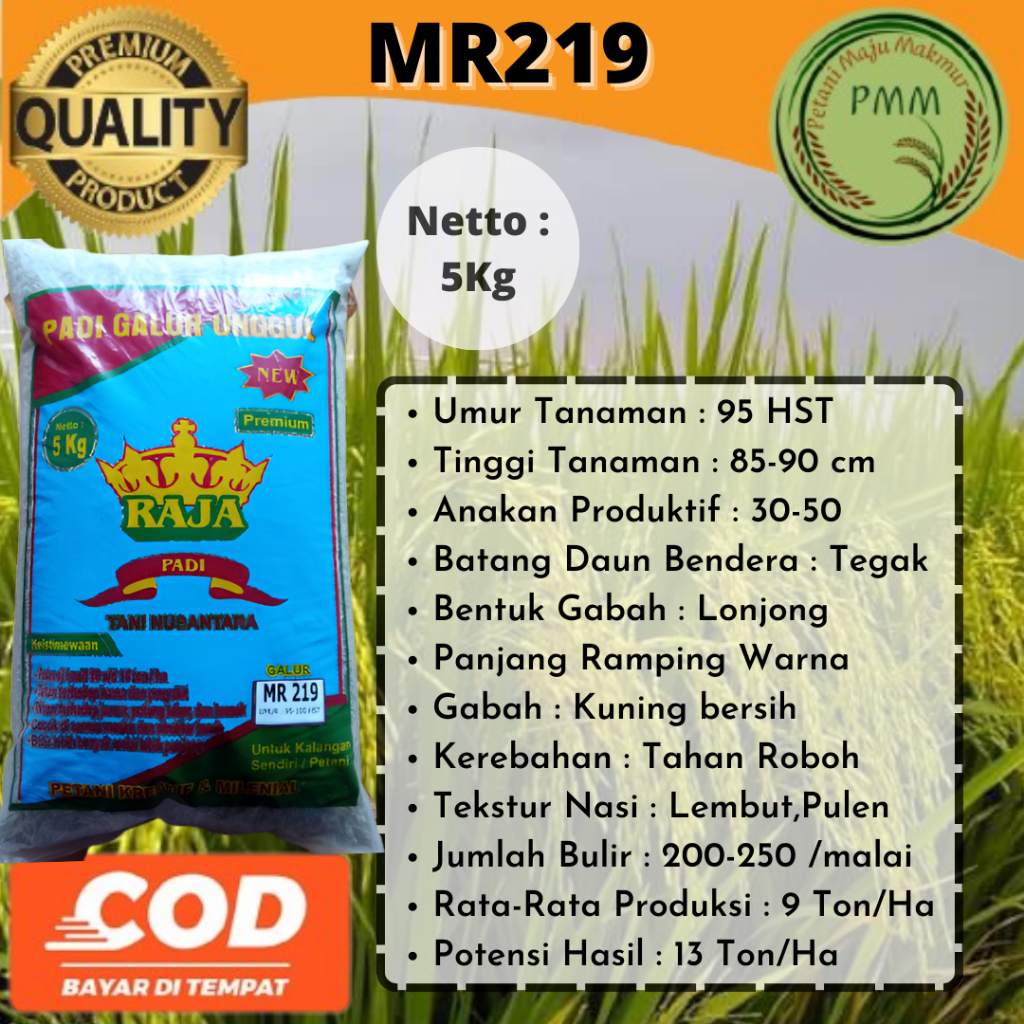 Jual Biji Padi Unggul MR219 Padi MR 219 5kg | Shopee Indonesia