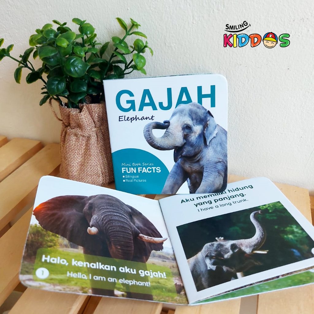 Jual SK MINI BOOK FUN FACT - Buku Pengenalan Pengetahuan Anak Bayi ...
