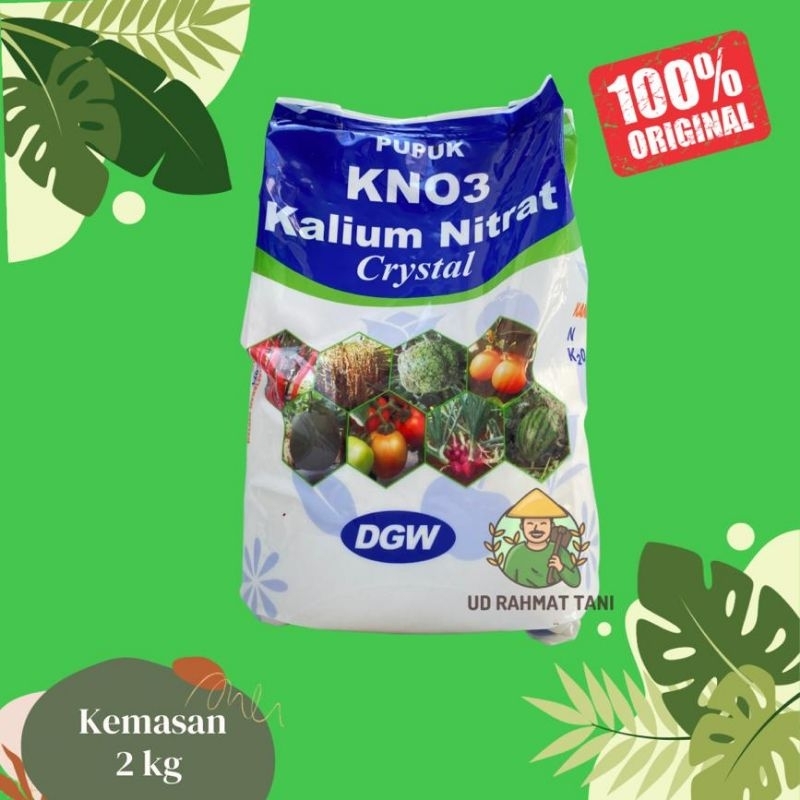 Jual PUPUK KNO3 PUTIH CRYSTAL 2KG DGW (PENCEGAH KERONTONKAN PADA BUNGA ...