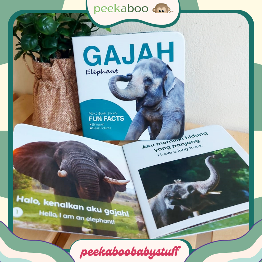 Jual MINI BOOK FUN FACTS - TEMA GAJAH || BUKU PENGENALAN HEWAN PENGETAHUAN ANAK BAYI BILINGUAL ...