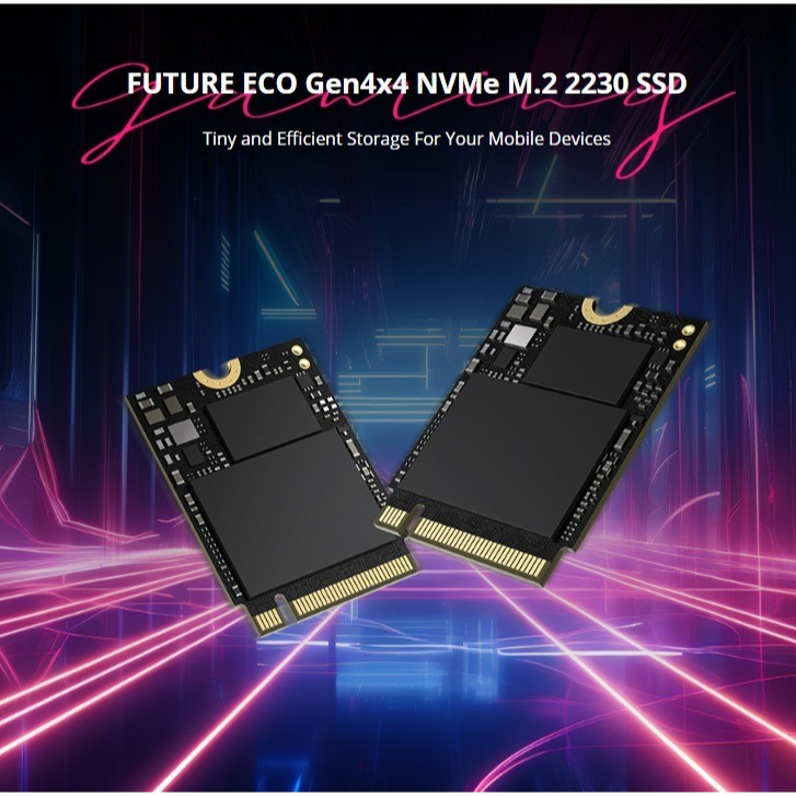 Jual SSD Hiksemi - FUTURE ECO PCIe 4.0 M.2 2230 consumer SSD | Shopee ...
