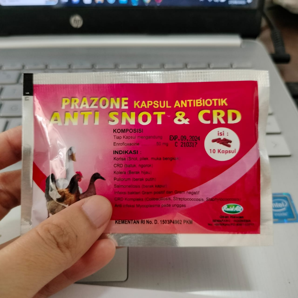Jual ANTI SNOT & CRD PRAZONE KAPSUL ANTIBIOTIK ISI 10 CAPS (CAPSULES ...