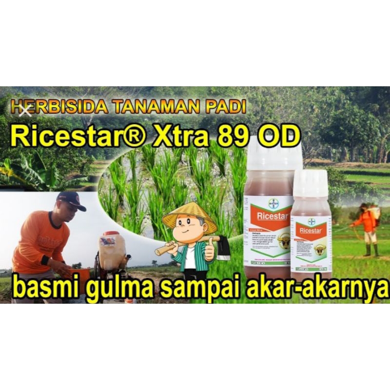 Jual HERBISIDA RICESTAR XTRA 89 OD KEMASAN 250 ML | Shopee Indonesia