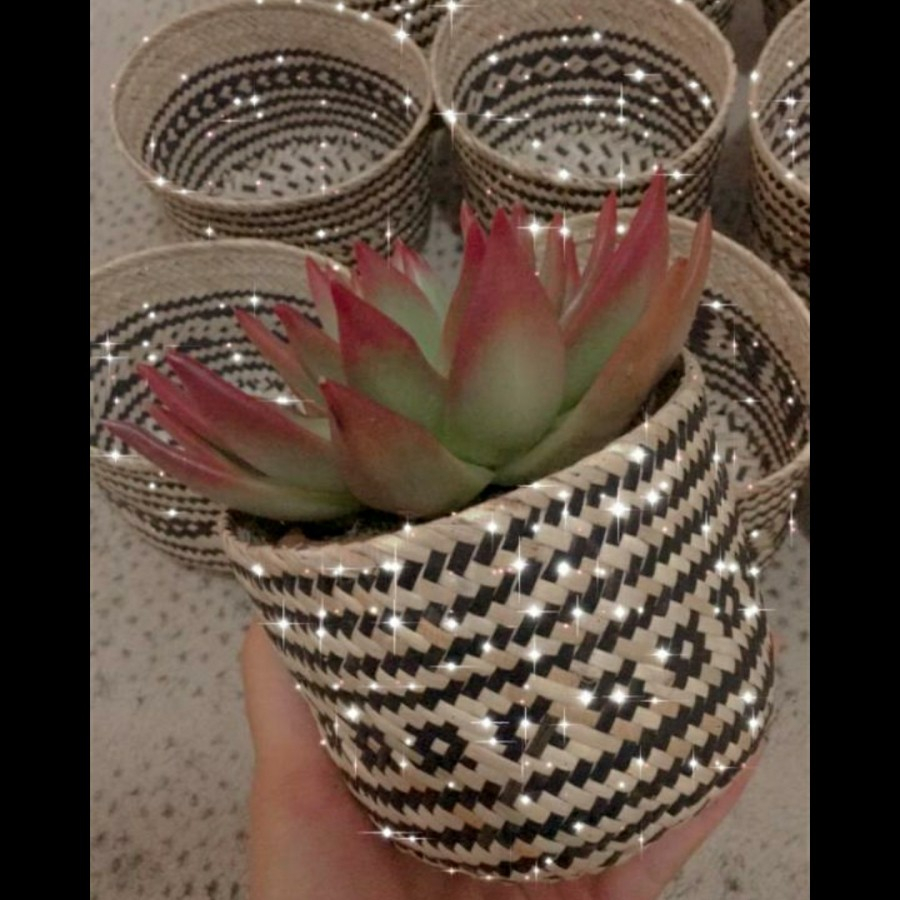 Jual Cover Pot Rotan Motif Kecil, Cover Pot Tanaman Mini | Shopee Indonesia