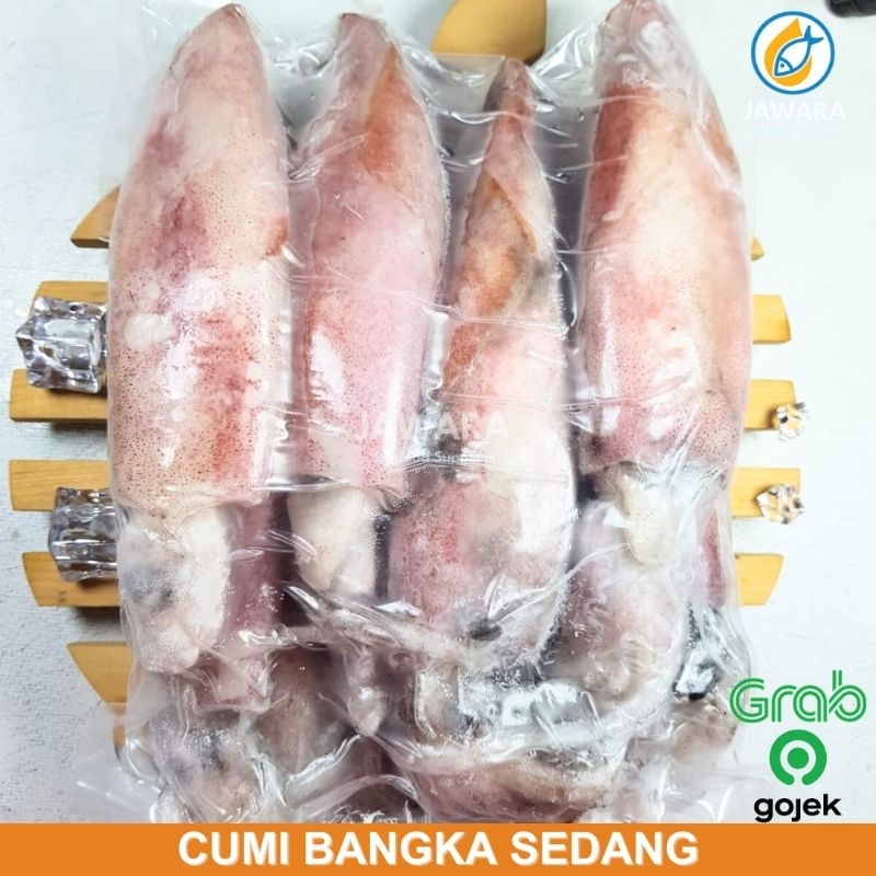 Jual Promo Cumi Bangka Asli | Cumi Sedang | Fresh Frozen | 1 kg ...