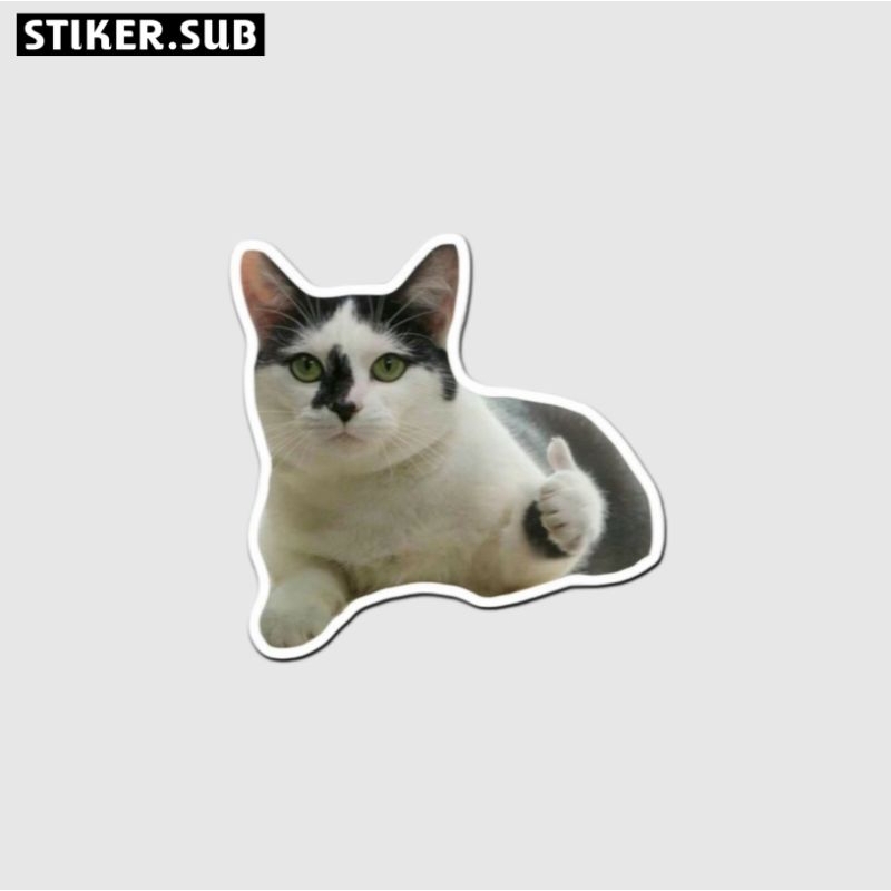 Jual stiker sticker "cat ok" | Shopee Indonesia
