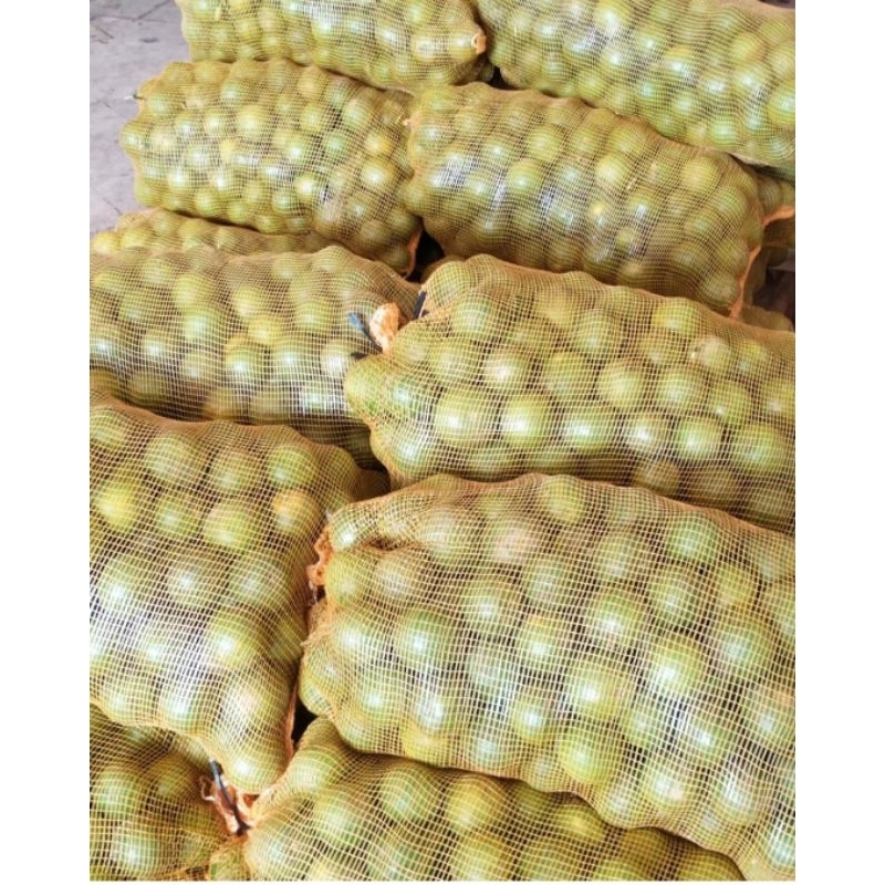 Jual Jeruk Pacitan Jeruk Baby Java Jeruk peras 1 kg pengiriman instan ...