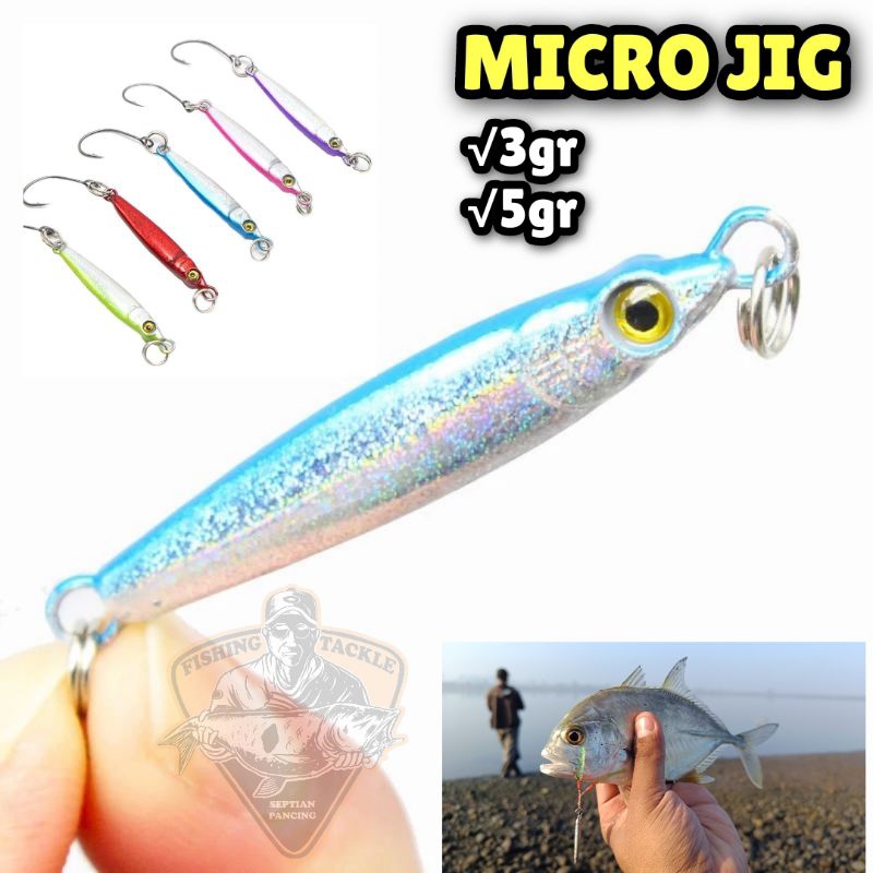 Jual Micro Jig 3GR | 5GR SP Lure Casting Model Teri | Shopee Indonesia