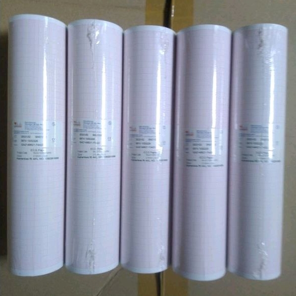 Jual Kertas ECG 210mm x 30m rol Sonomed | Shopee Indonesia