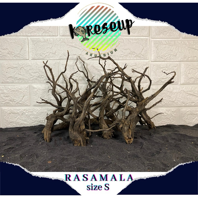 Jual AKAR RASAMALA (size S) AKAR AQUASCAPE HIASAN AQUARIUM AESTHETIC ...