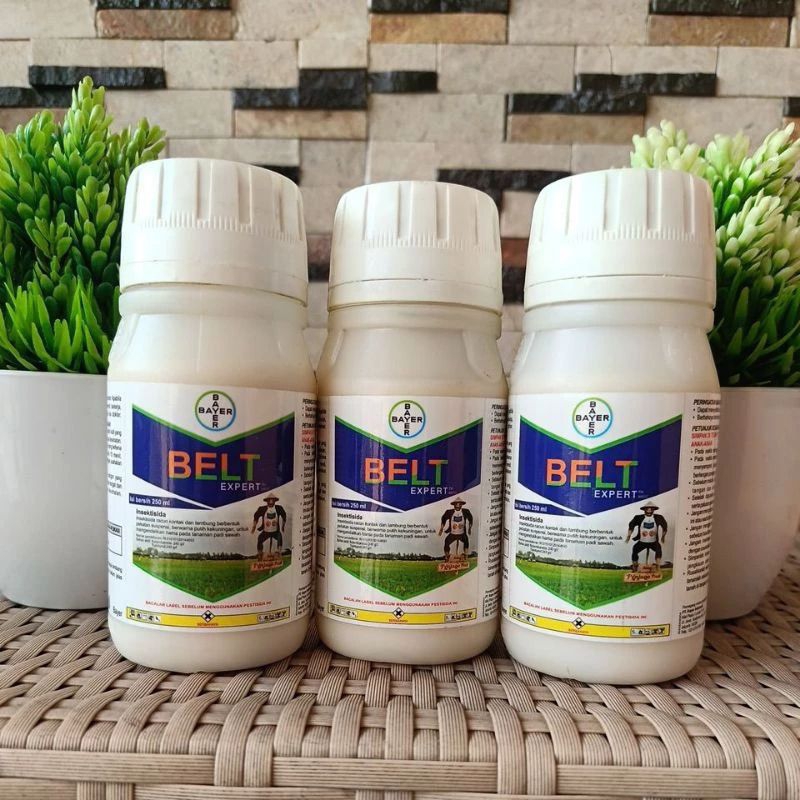 Jual insektisida BELT EXPERT 480 SC 250 ML | Shopee Indonesia