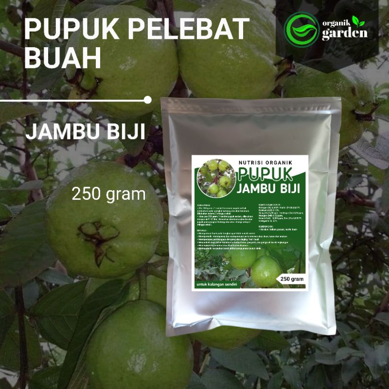 Jual pupuk pelebat buah JAMBU BIJI | booster melebatkan secara maksimal 250gram | Shopee Indonesia