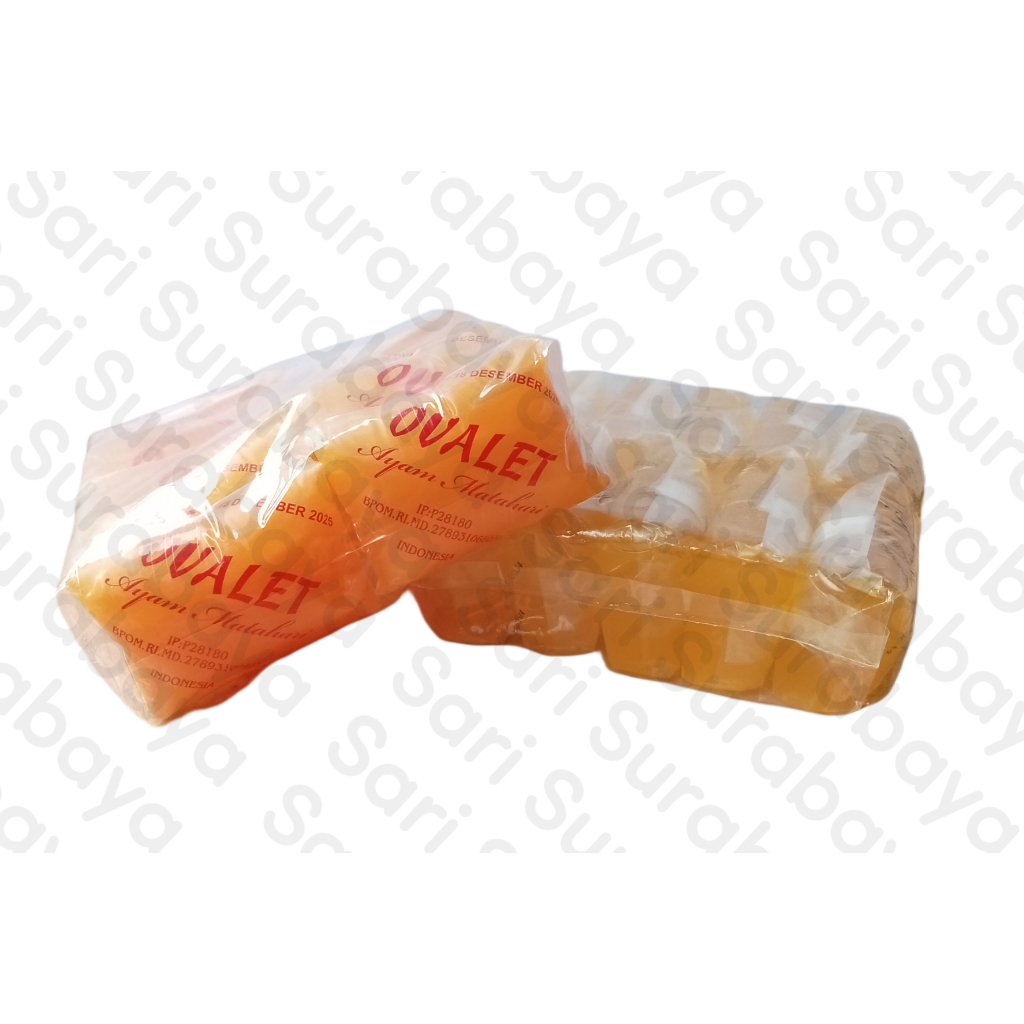 Jual Ayam Matahari Ovalet, TBM, SP | Shopee Indonesia