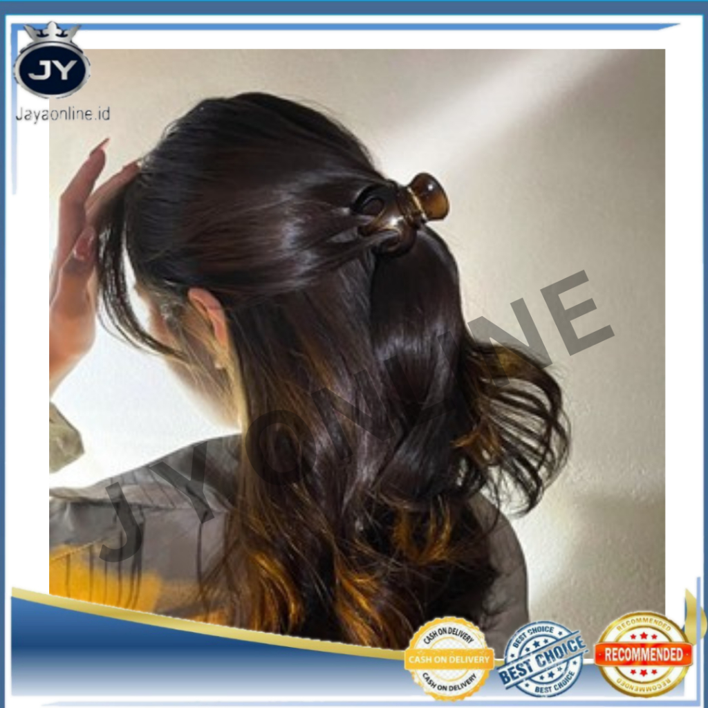 Jual JY Jedai Cakar Jepit Rambut Panjang 5 cm Hair Accesories Jedai ...
