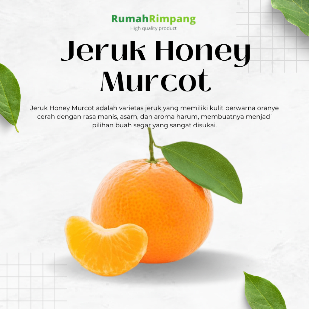 Jual [BISA INSTAN] BUAH FRESH - JERUK HONEY MURCOT KEMASAN 1 KG ...