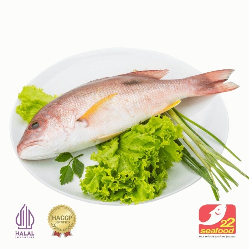 Jual Ikan Kakap Merah Tompel 1 kg / Seafood 22 | Shopee Indonesia Jual Ikan Kakap Merah Tompel 1 kg / Seafood 22 | Shopee Indonesia