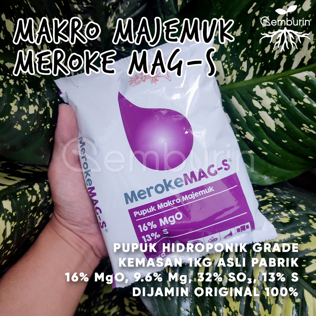 Jual Pupuk Meroke MAG-S 1 kg Kemasan Pabrik / MAGS Hidroponik Grade ...