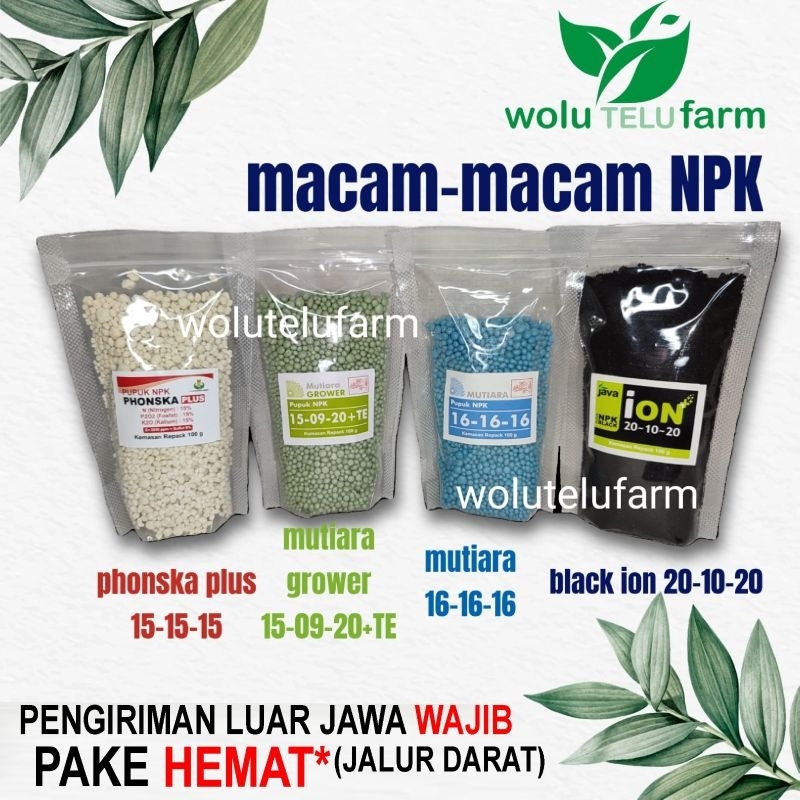 Jual Pupuk Npk phonska plus, mutiara 16-16-16, mutiara grower, black ...