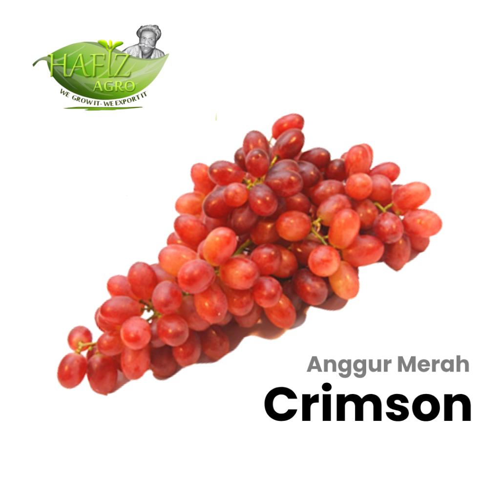 Jual Anggur Crimson , Tanpa Biji Warna Merah | Shopee Indonesia