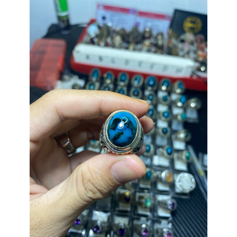 Jual Bacan Doko Majiko Shopee Indonesia