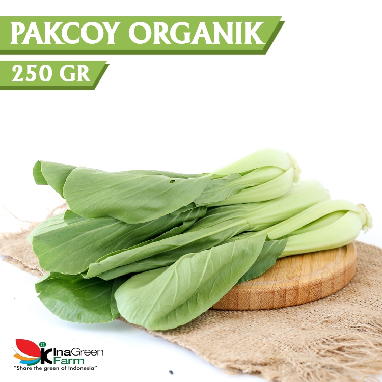 Jual Inagreen Farm Bandung Sayur Pakcoy Organik 250 Gram | Shopee Indonesia